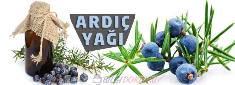 Ardıç Yağının Faydaları, Ardıç Yağı Kremi ve Kullanımı — Bilgi Doktoru